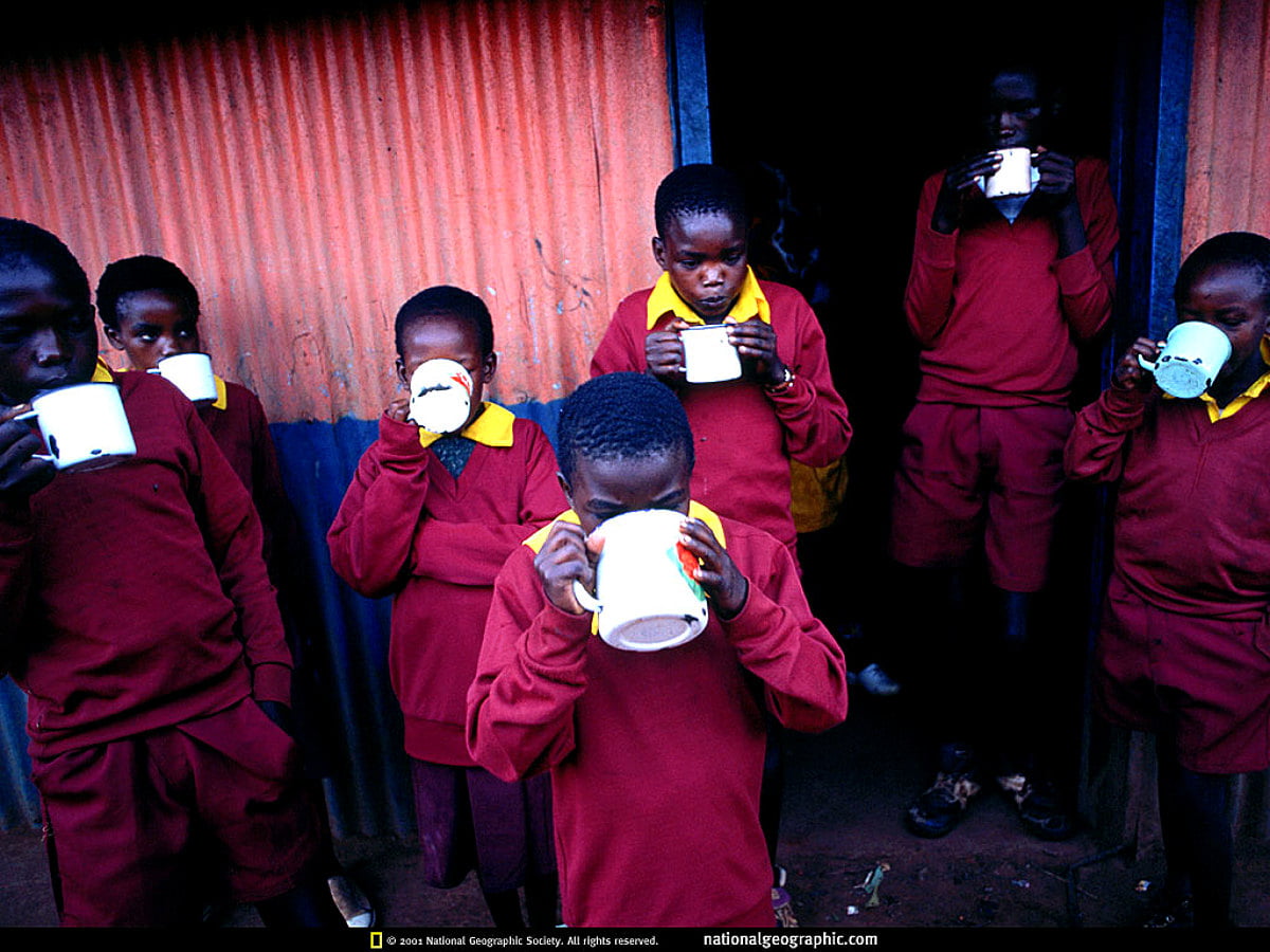 Bakgrundsbild Nat Geo, National Geographic, Barn | Ladda Ner ...
