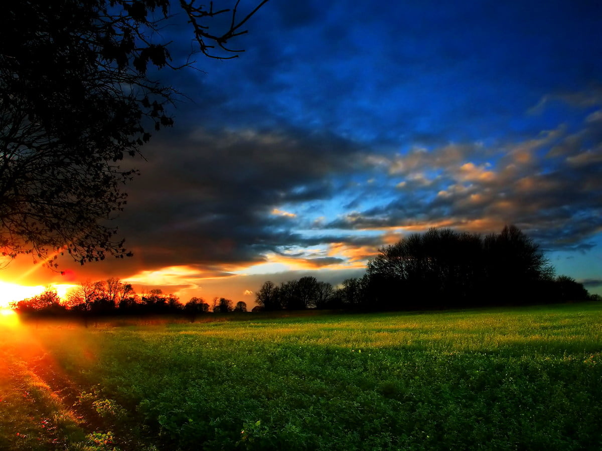 250+ Sommar bakgrundsbilder HD 🔥 Ladda Ner Gratis