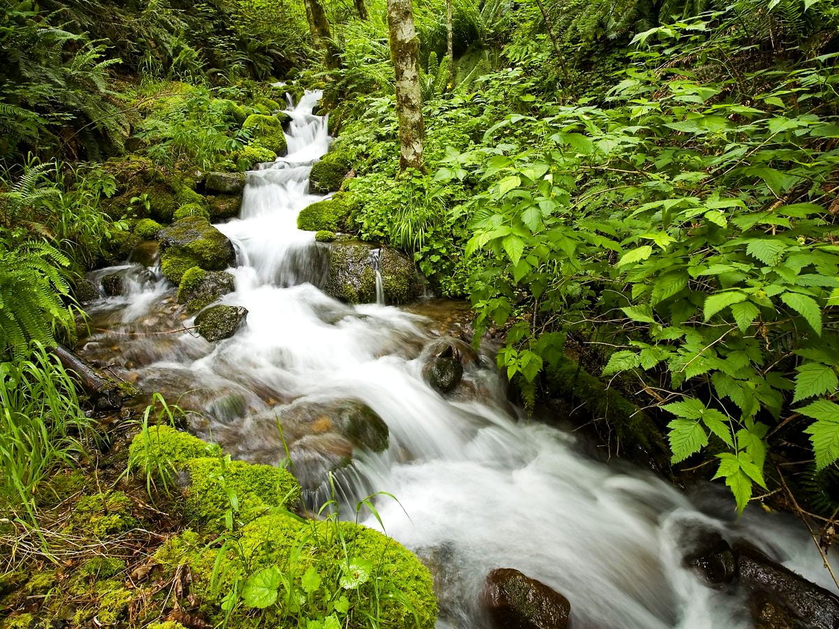 240+ 4K Vattenfall bakgrundsbilder | Gratis Bilder