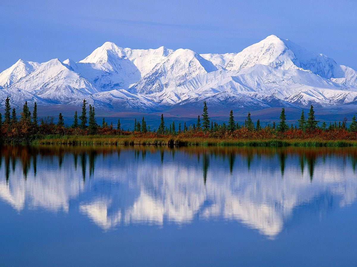Denali nationalpark bakgrundsbilder HD | Ladda Ner Gratis