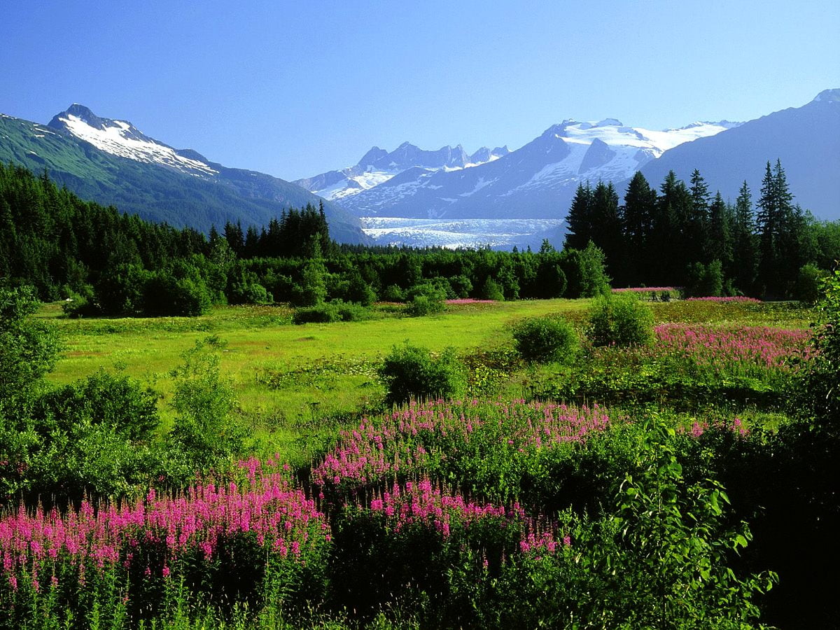 40+ Alaska bakgrundsbilder HD | Ladda Ner Gratis