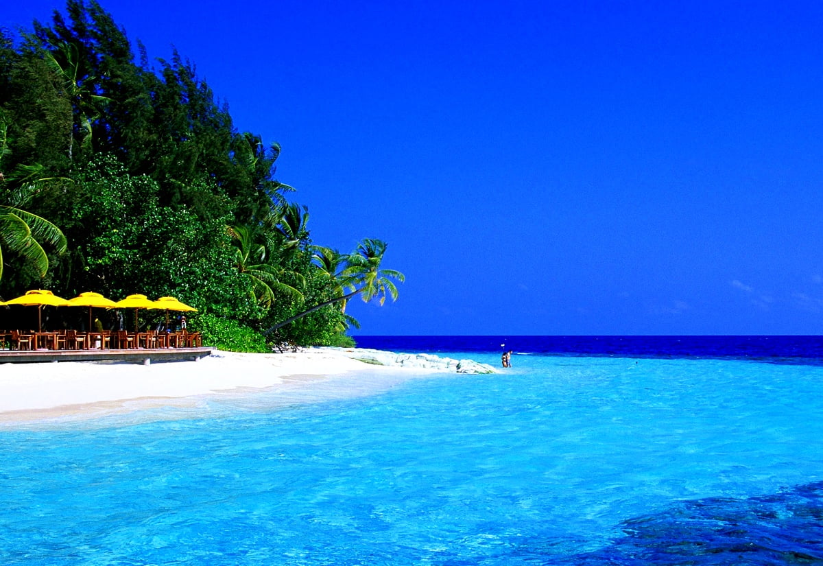 Häftig bakgrund Sommar, Strand, Hav 🔥 Ladda Ner Skrivbordsbilder