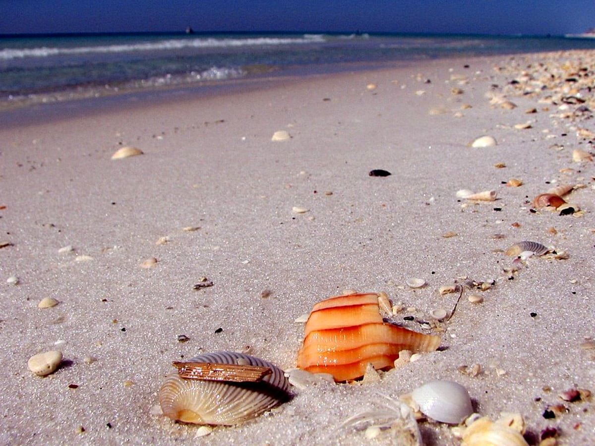 Bakgrundsbild Sommar, Strand, Hav | Topp Gratis Bakgrunder