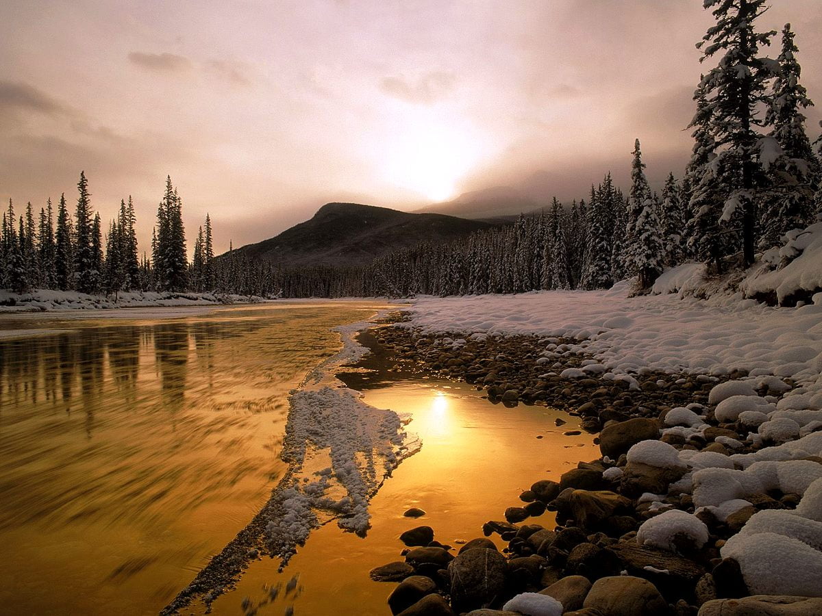 320+ 4K Vinter bakgrundsbilder | Gratis Bilder