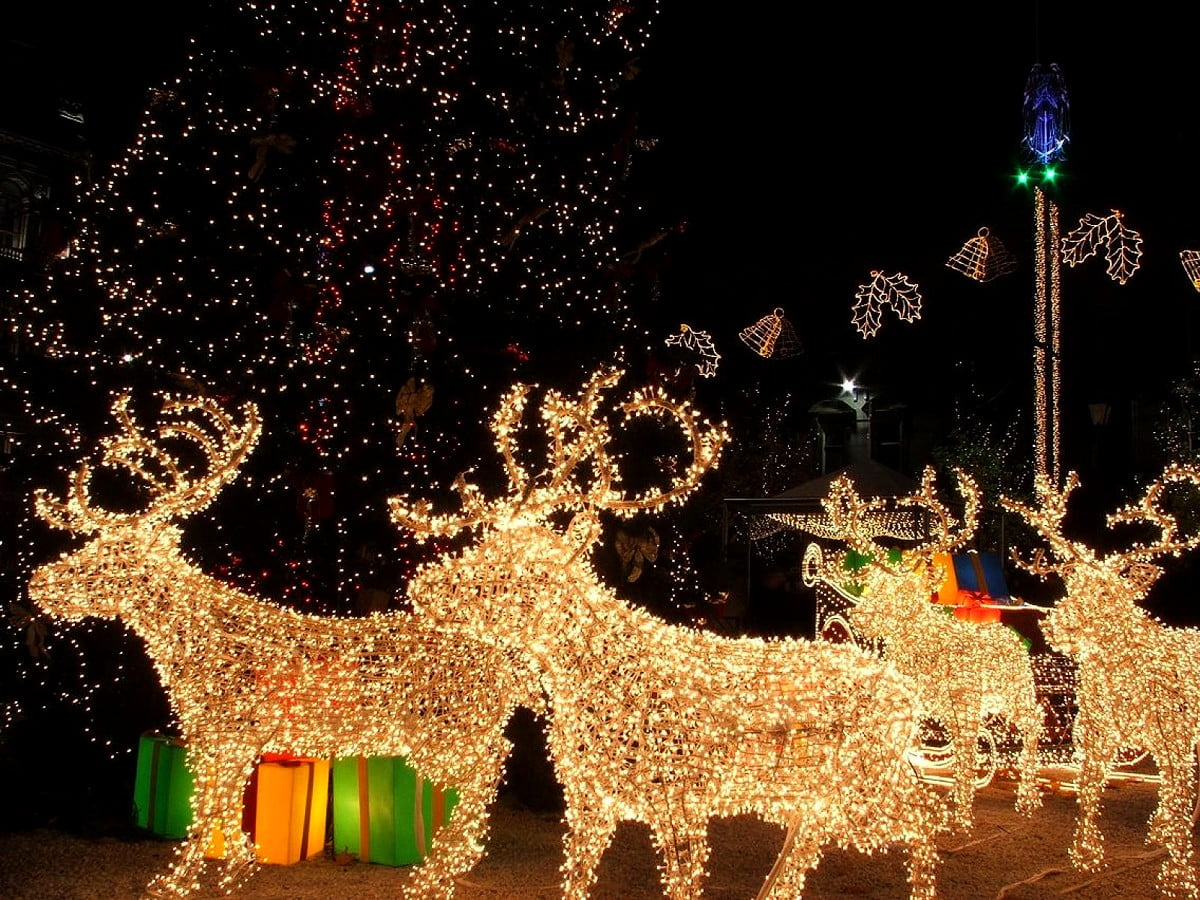 210+ Julgran bakgrundsbilder HD 🔥 Ladda Ner Gratis