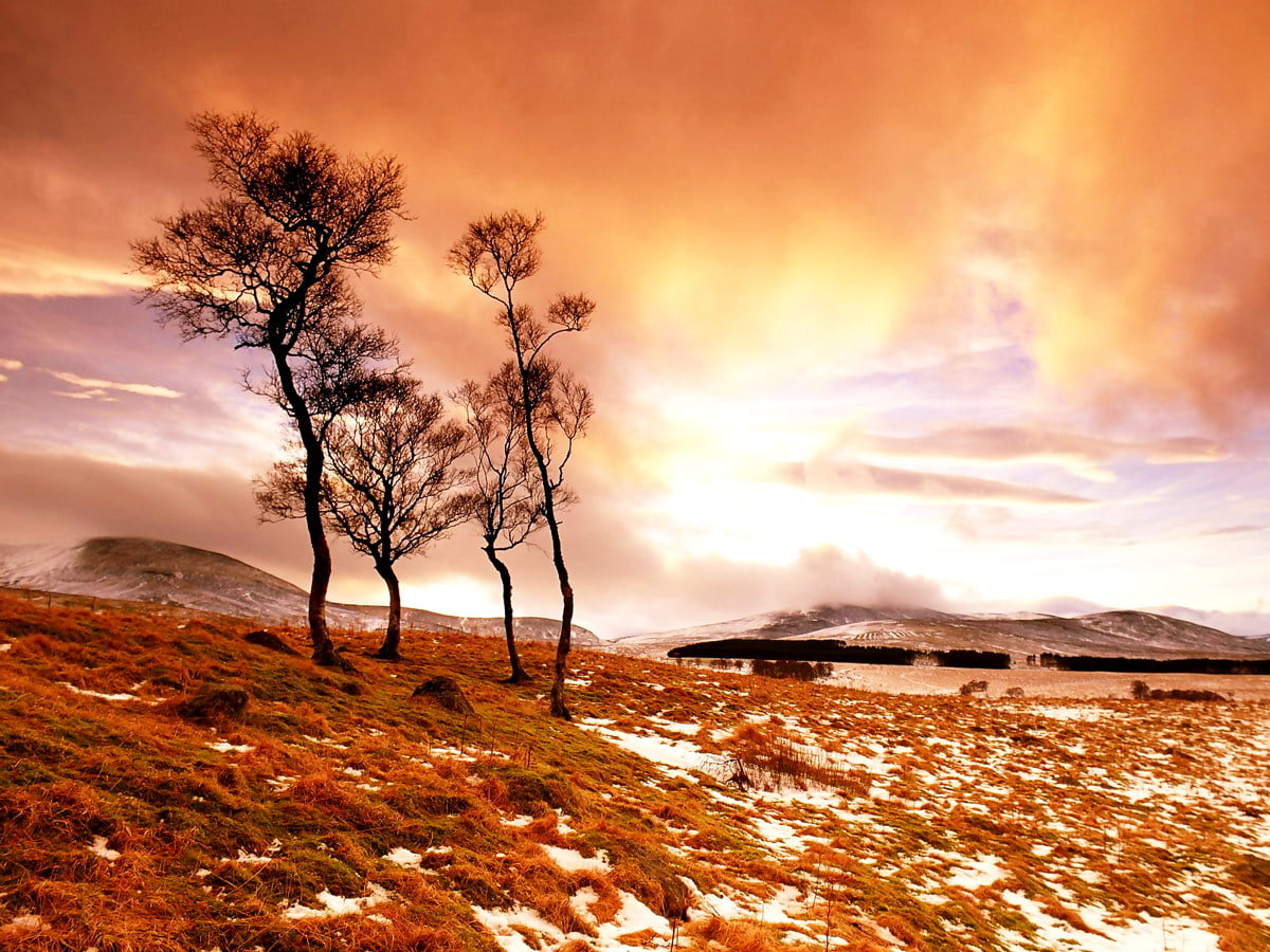 2000+ Coola bakgrunder Natur | Gratis Bilder