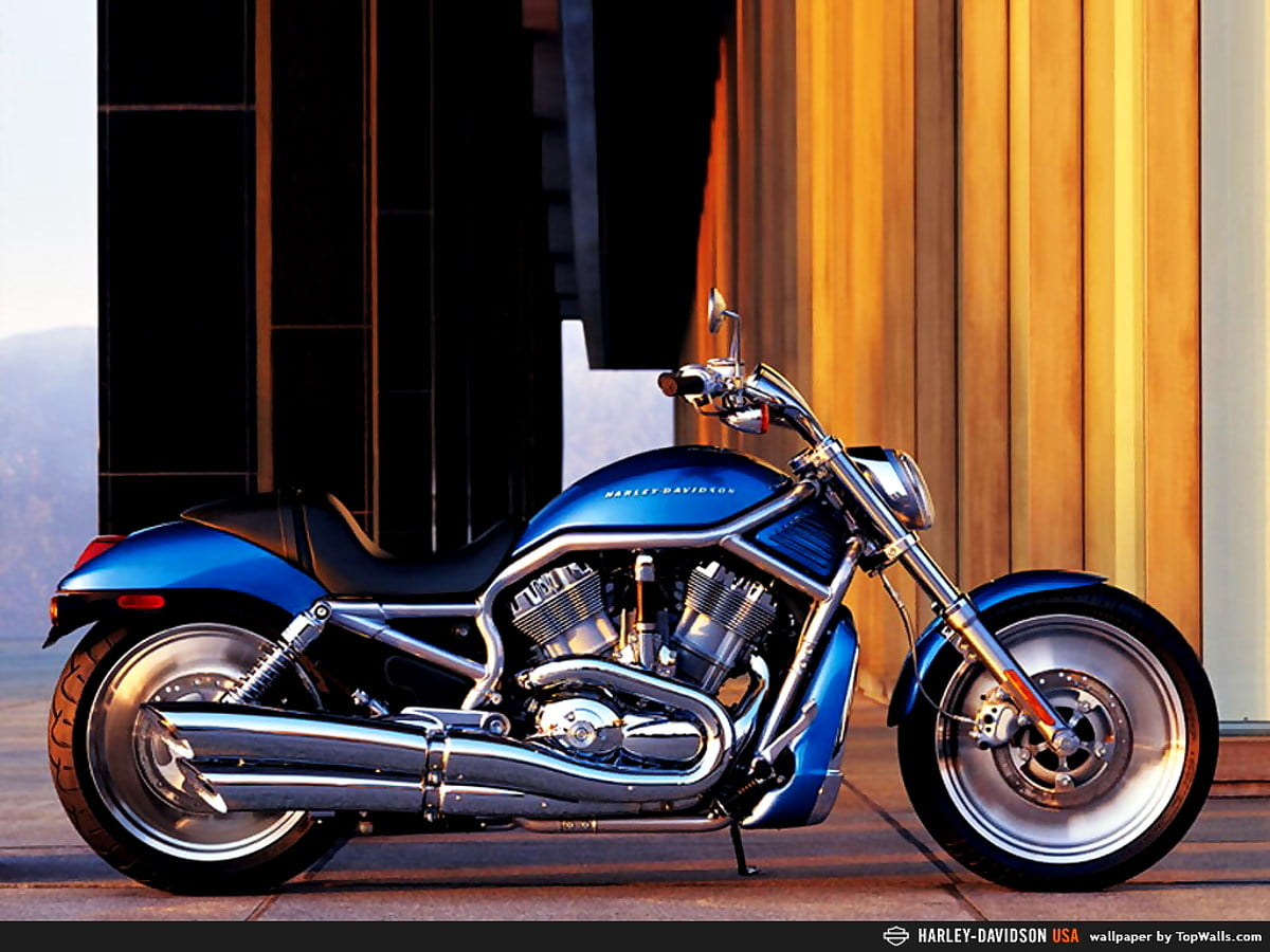 Bakgrundsbild Motorcykel, Chopper, Kryssare | Gratis Bilder