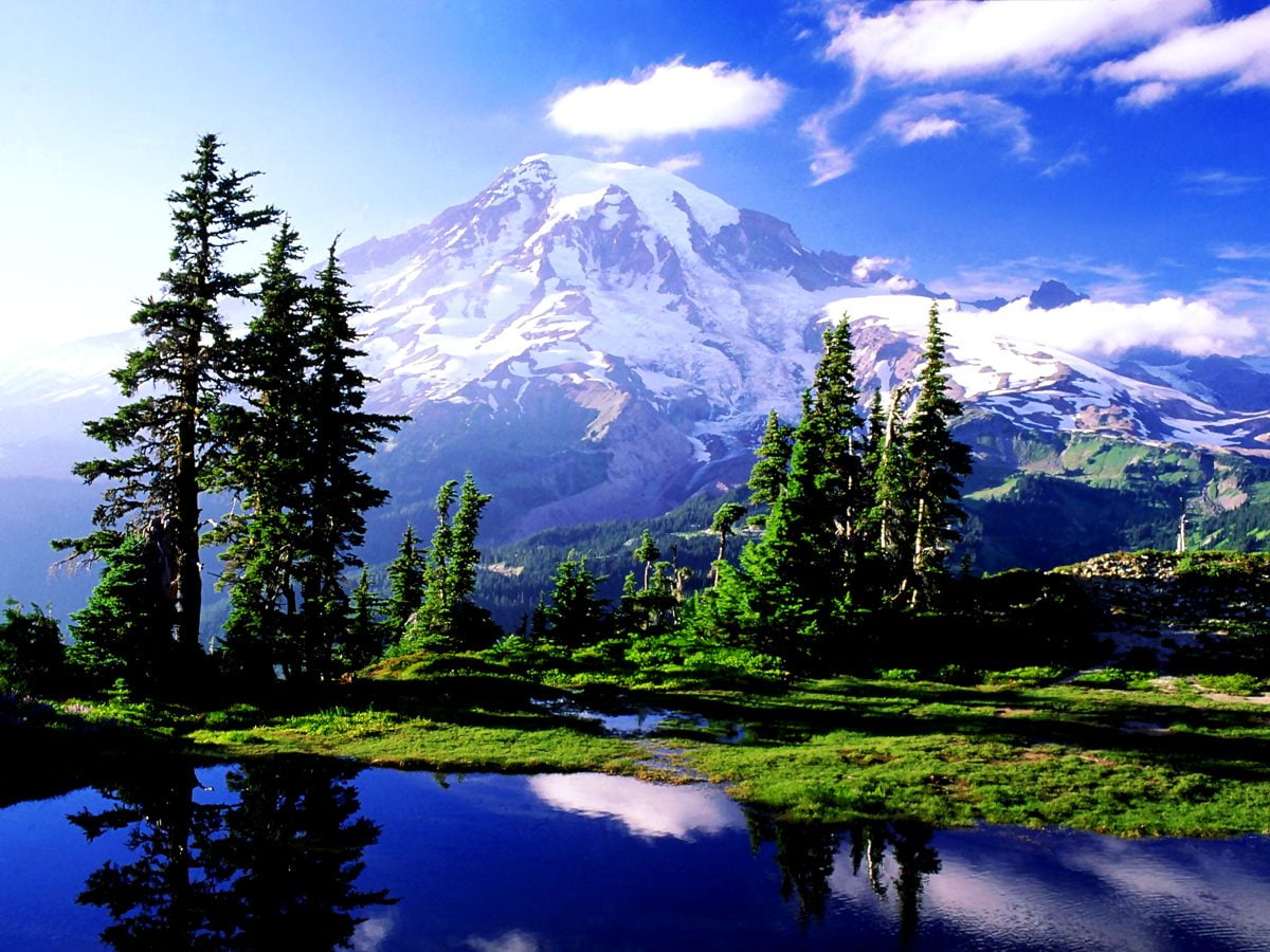 2000+ Coola bakgrunder Natur 🔥 Gratis Bilder