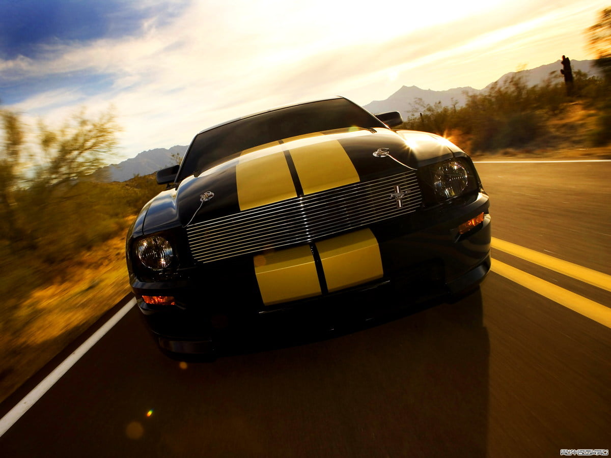 Vacker bakgrundsbild Ford, Bilar, Shelby Mustang | Topp Gratis Bakgrunder