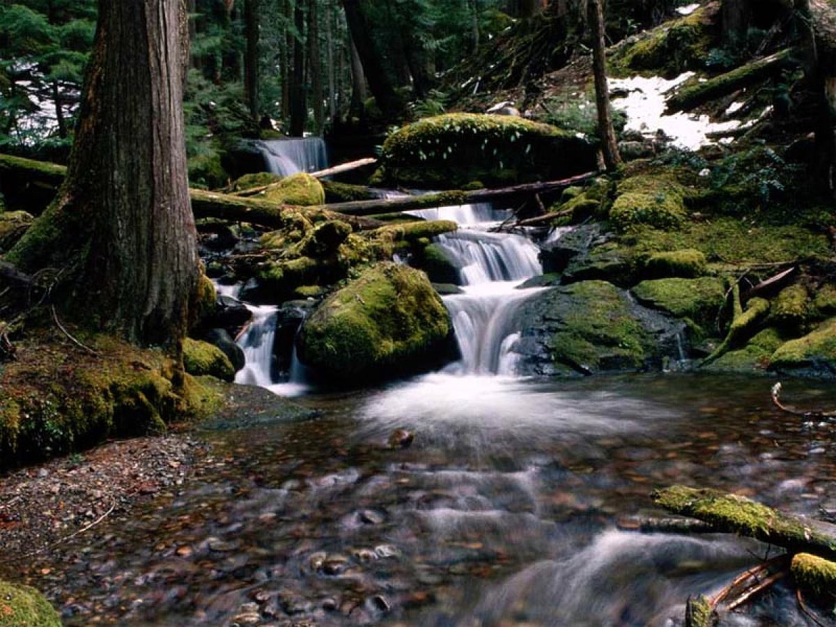 240+ 4K Vattenfall bakgrundsbilder | Gratis Bilder