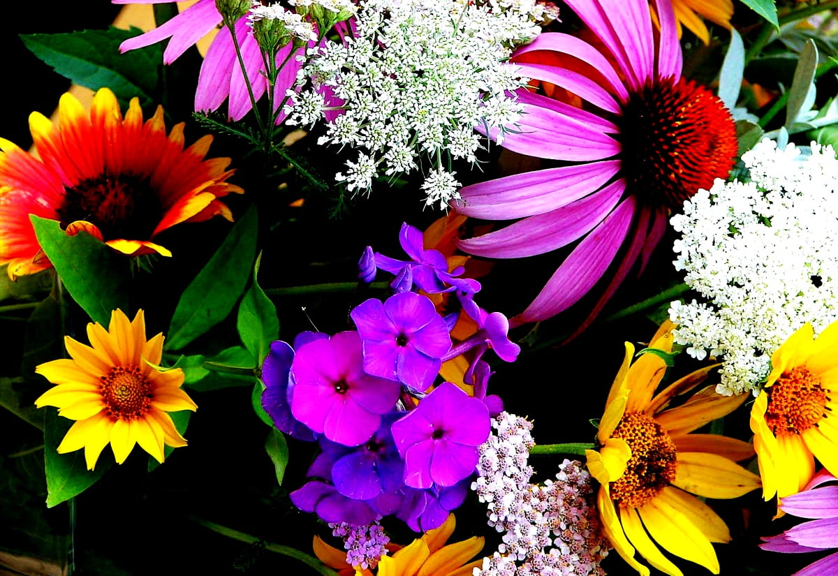 70+ Blomster bakgrundsbilder HD 🔥 Ladda Ner Gratis