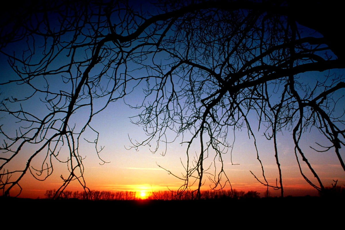 2000+ 1600x900 skrivbordsbilder Natur | Ladda Ner Gratis
