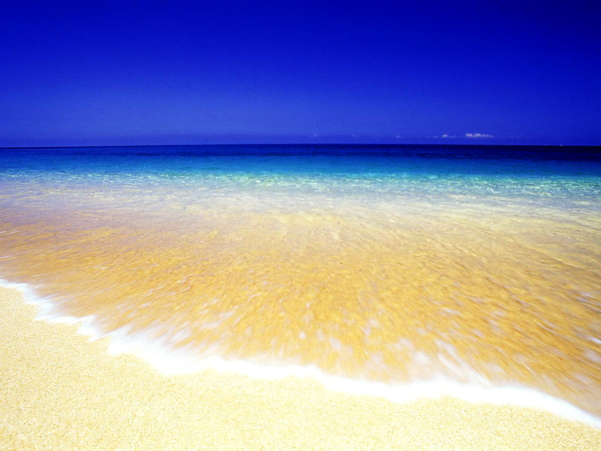 Bakgrundsbild Strand, Natur, Palmträd | Gratis Skrivbordsbilder